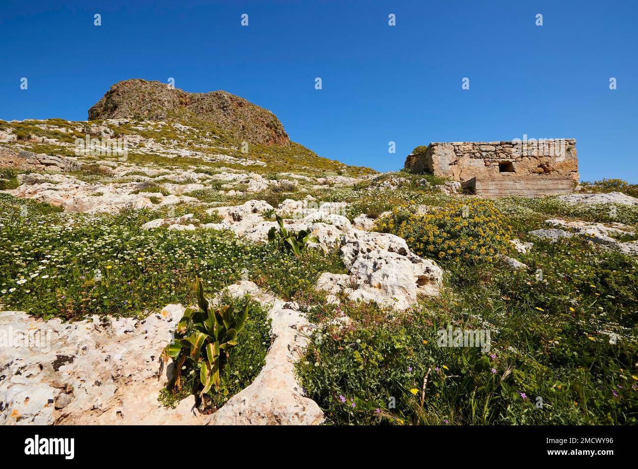 Spring in Crete, slope with spring flowers, rock slabs, ruined building ...