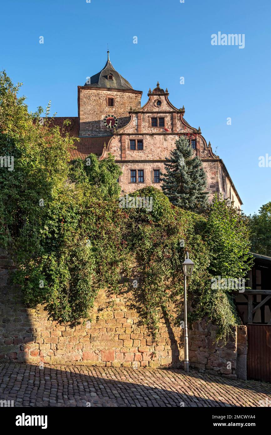 Medieval front castle with residential tower and Renaissance gables ...