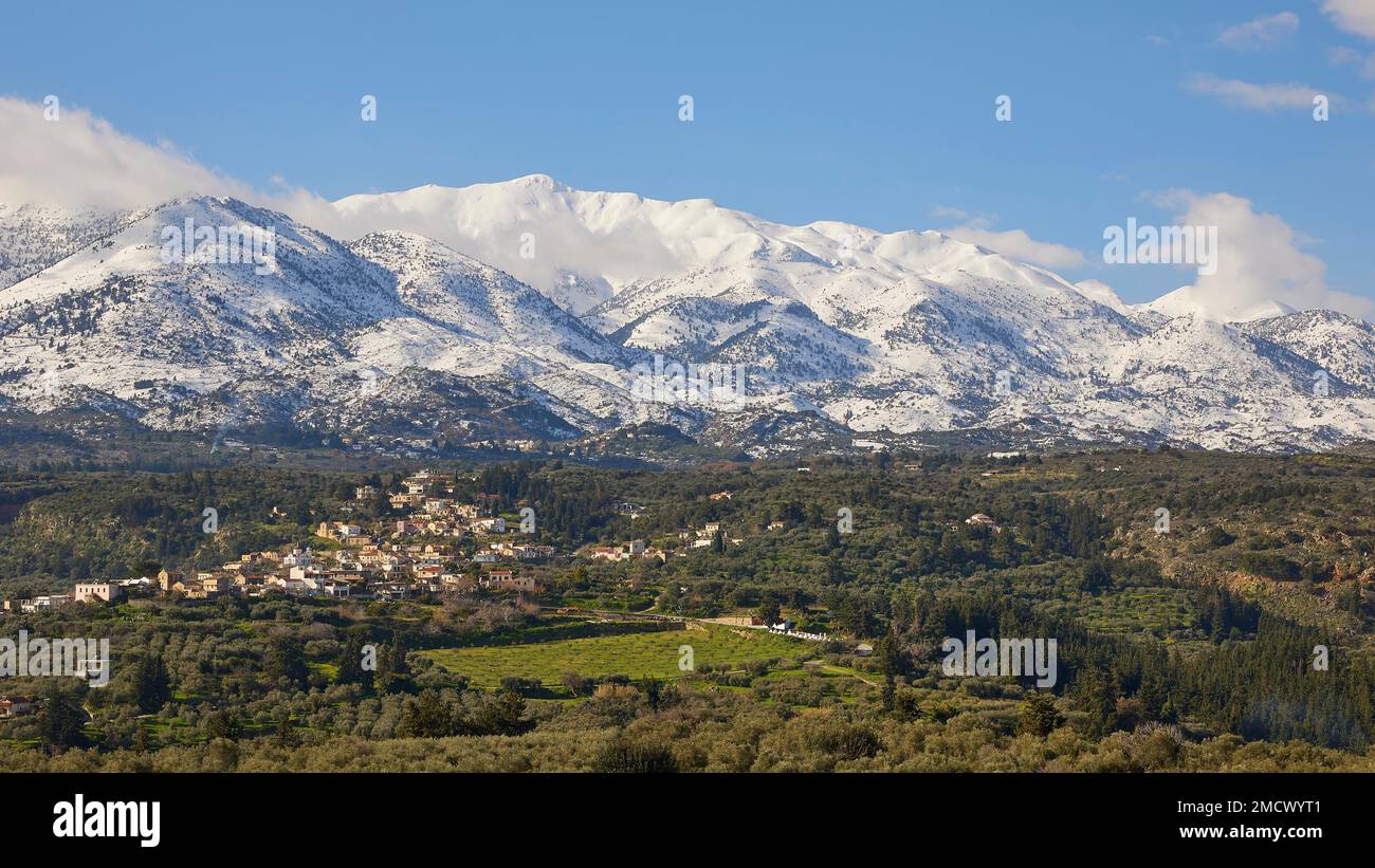 Western crete olive groves hi-res stock photography and images - Alamy