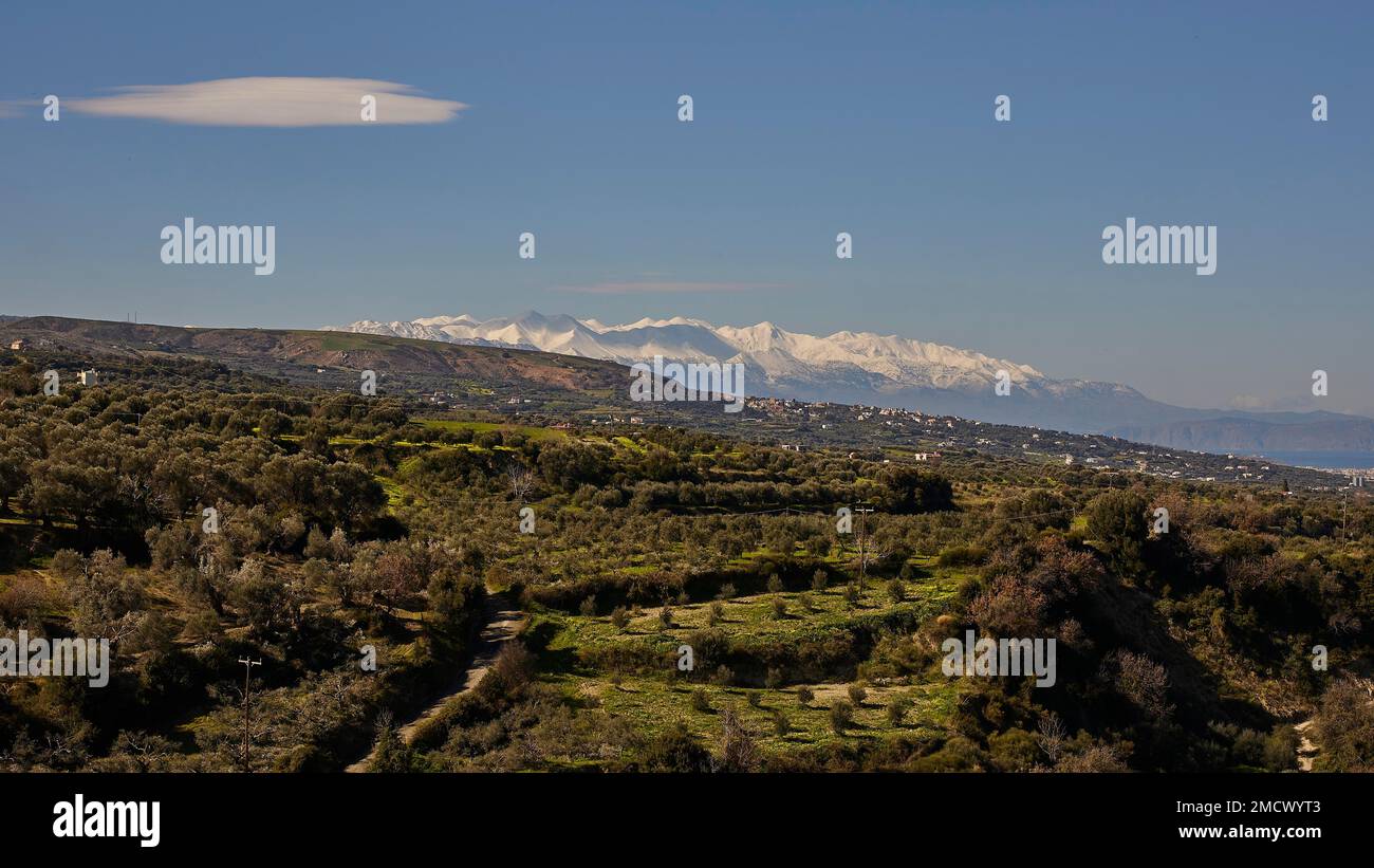 Spring in Crete, Olive groves, Green meadows, Lefka Ori, White ...