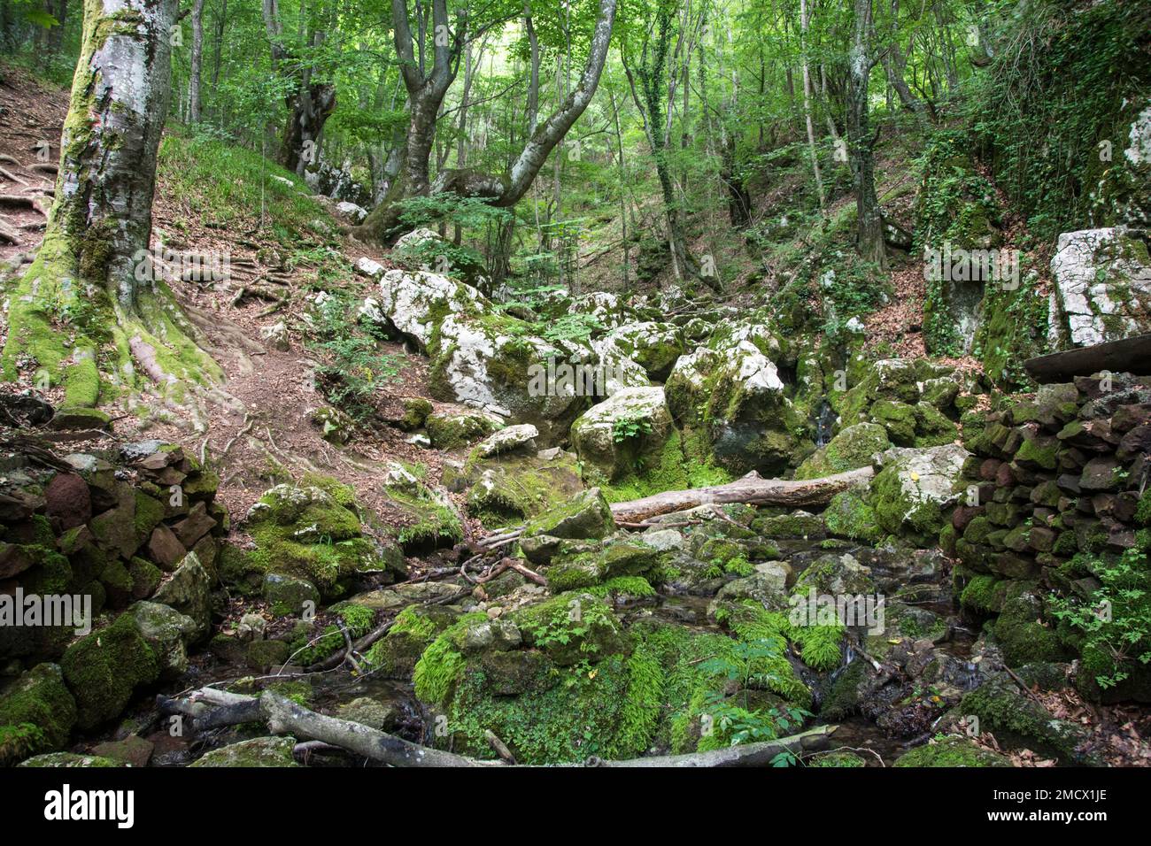 River grza hi-res stock photography and images - Alamy