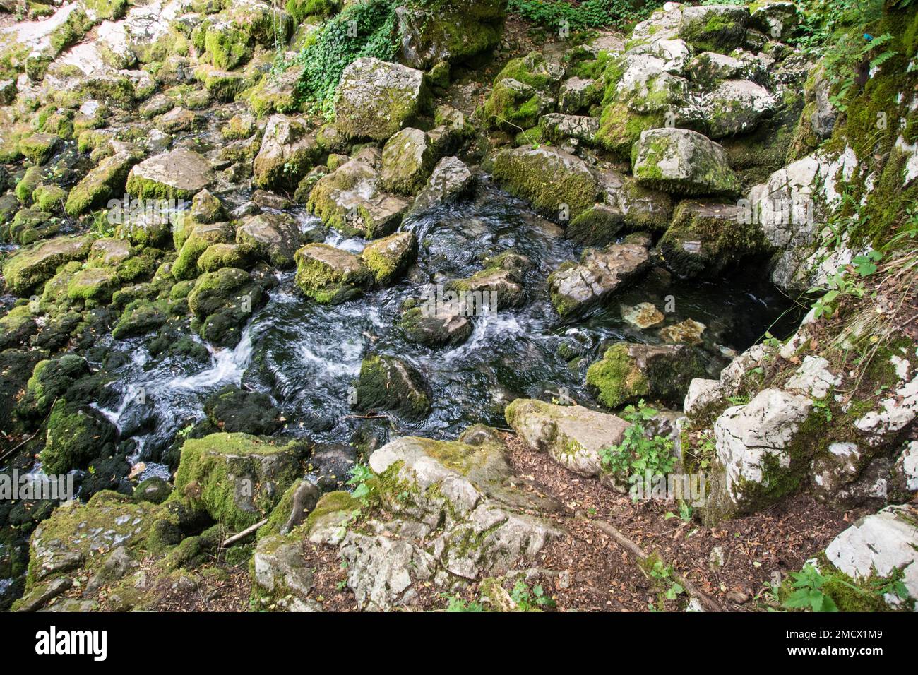 River grza hi-res stock photography and images - Alamy