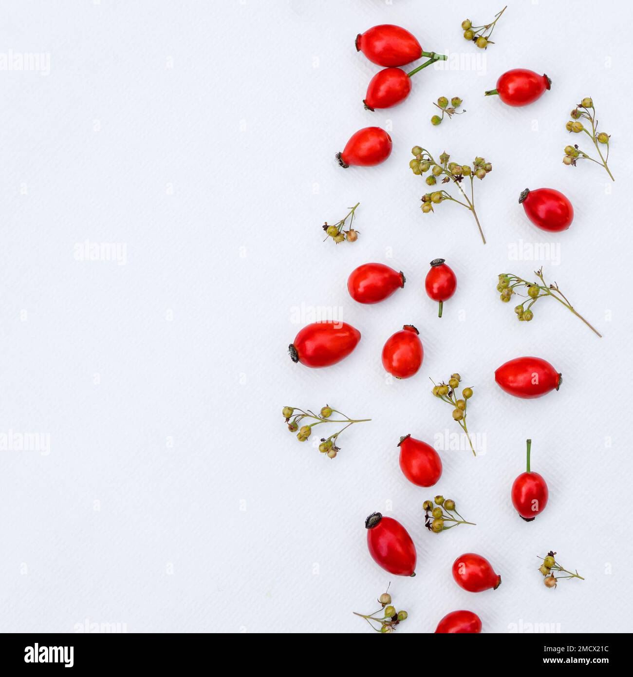 Floral background of bright red rose hips with copy space Stock Photo ...