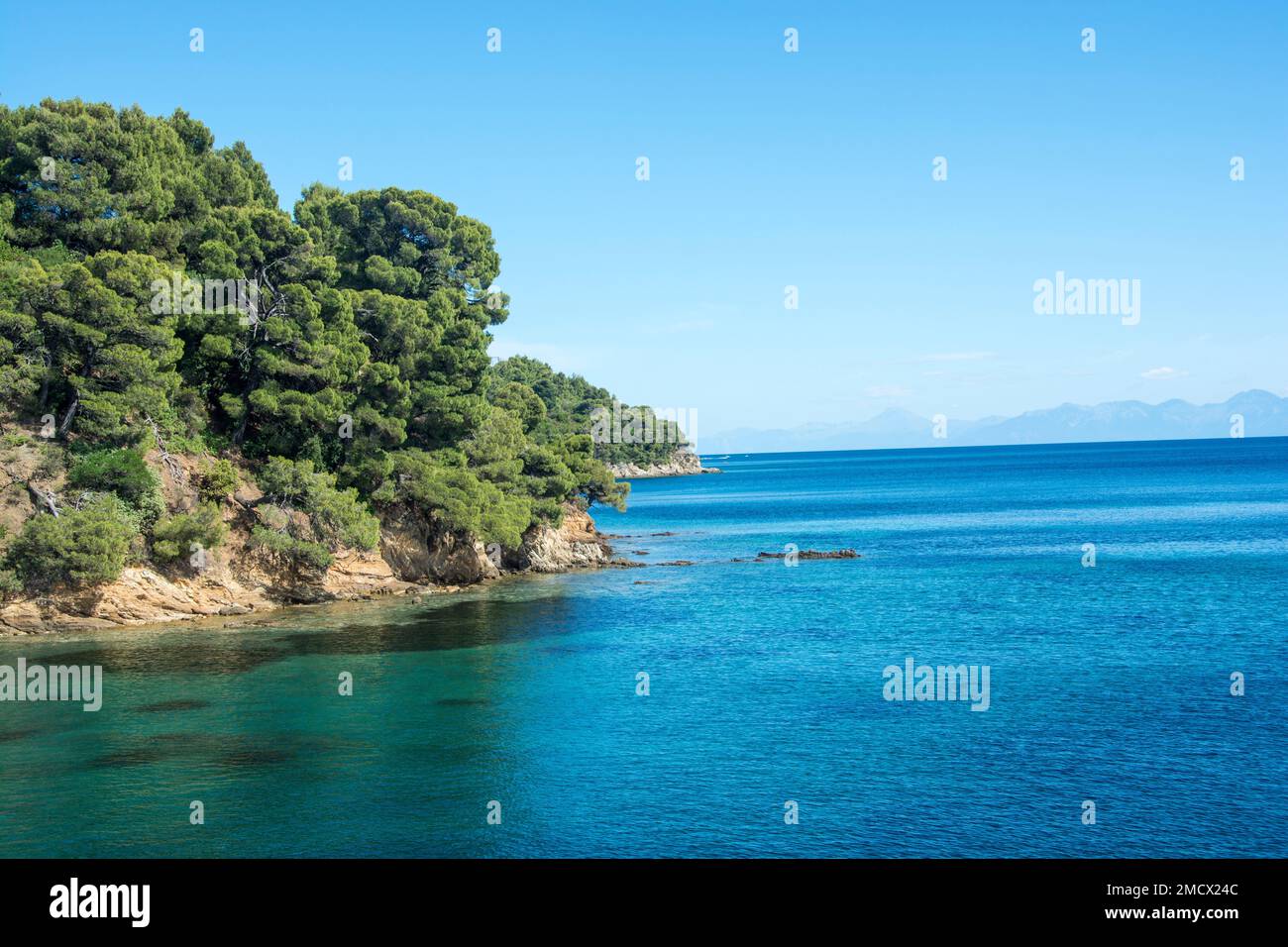 A beautiful, sandy, Koukounaries Beach on the Skiathos Island in Greece ...