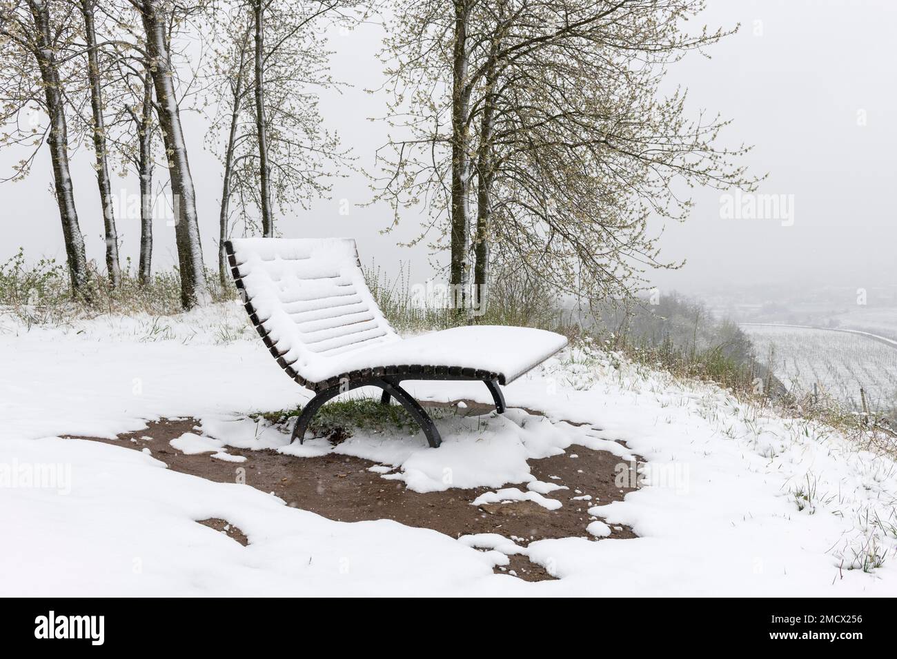 Snow-covered bench, bench, winter, snowfall, cherry trees, Baden ...
