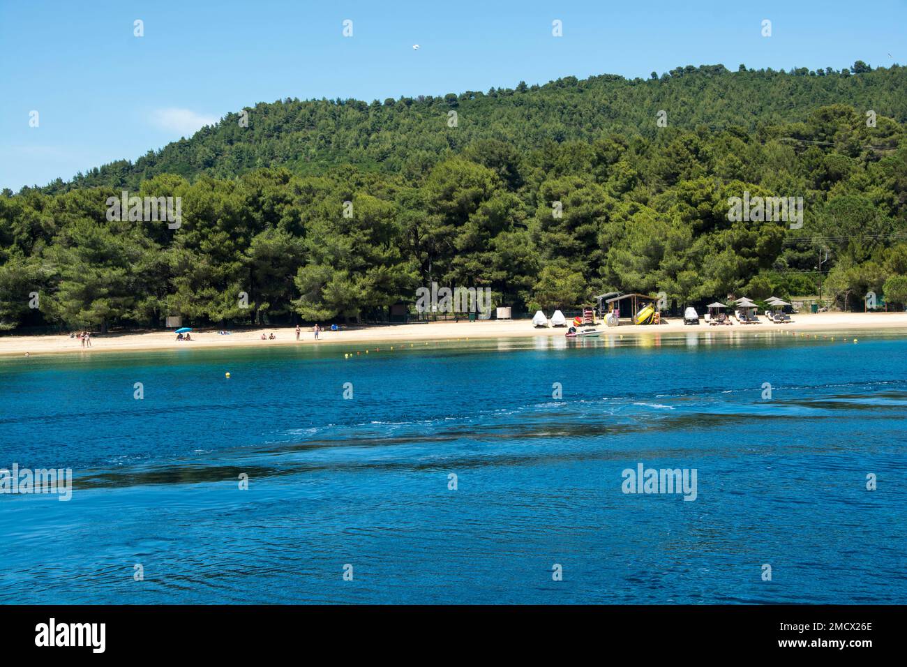 A beautiful, sandy, Koukounaries Beach on the Skiathos Island in Greece ...