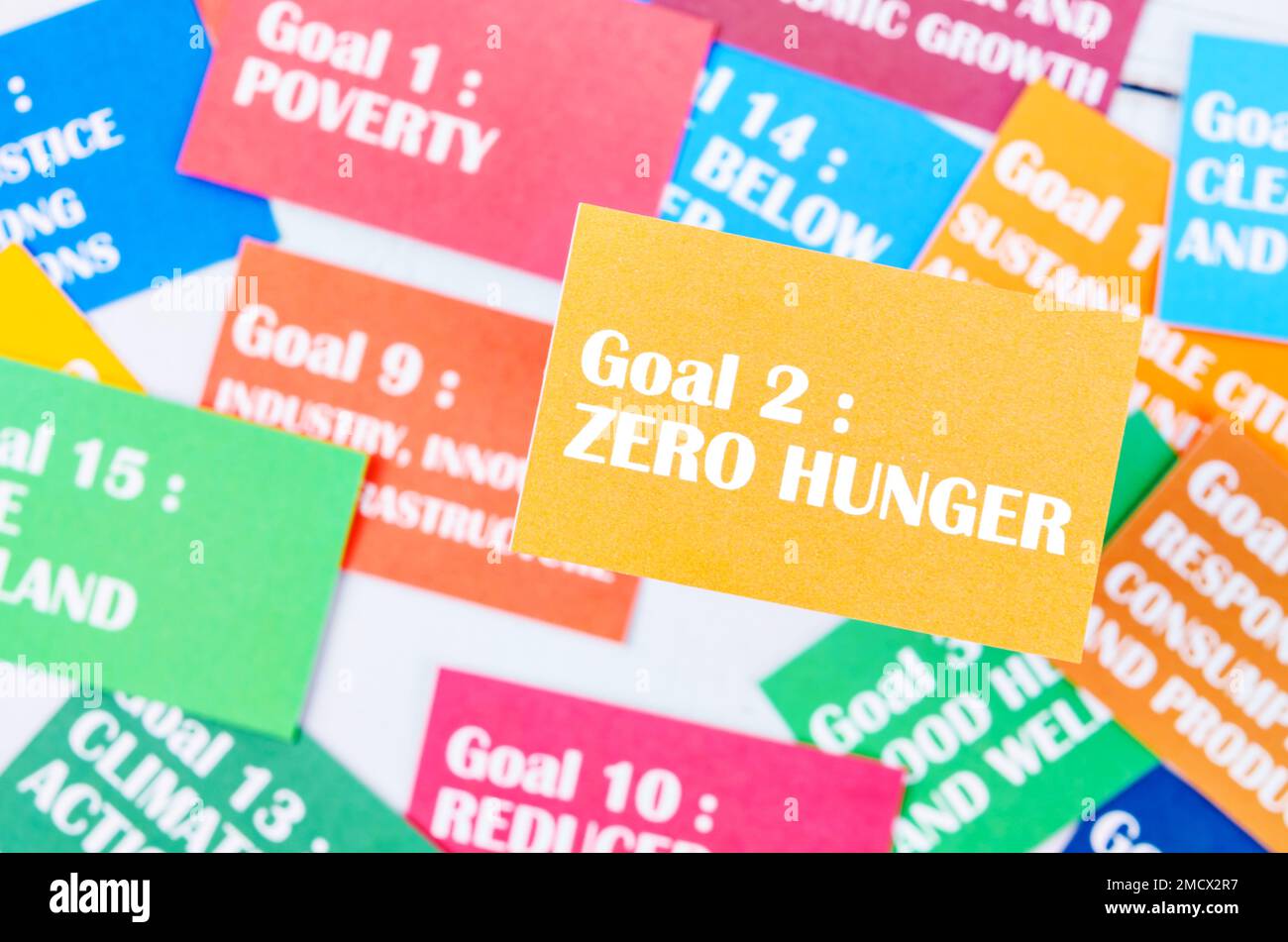 Goal 2 : Zero Hunger. The SDGs 17 development goals environment ...