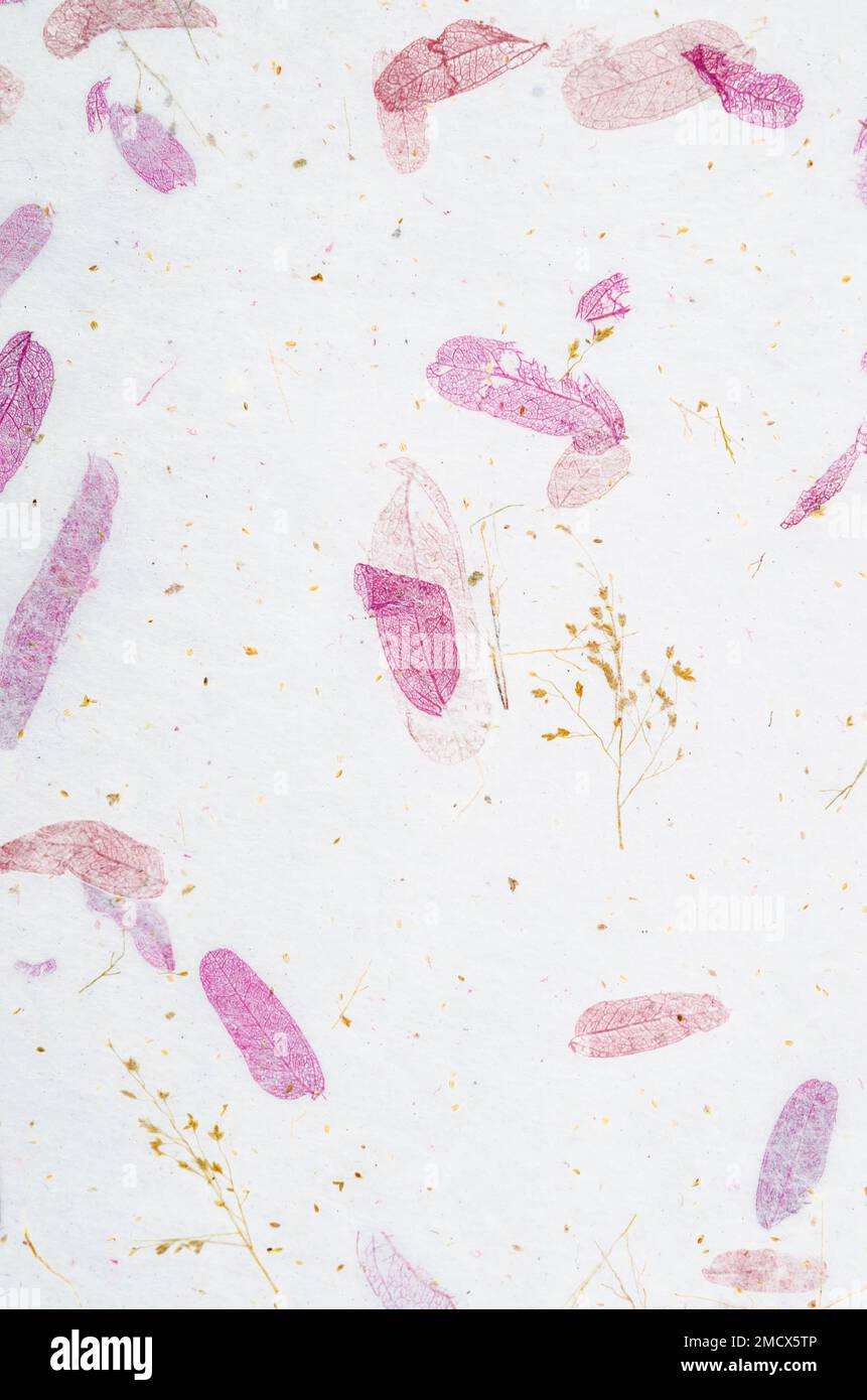 High Resolution Handmade Paper or Mulberry paper texture as background ...