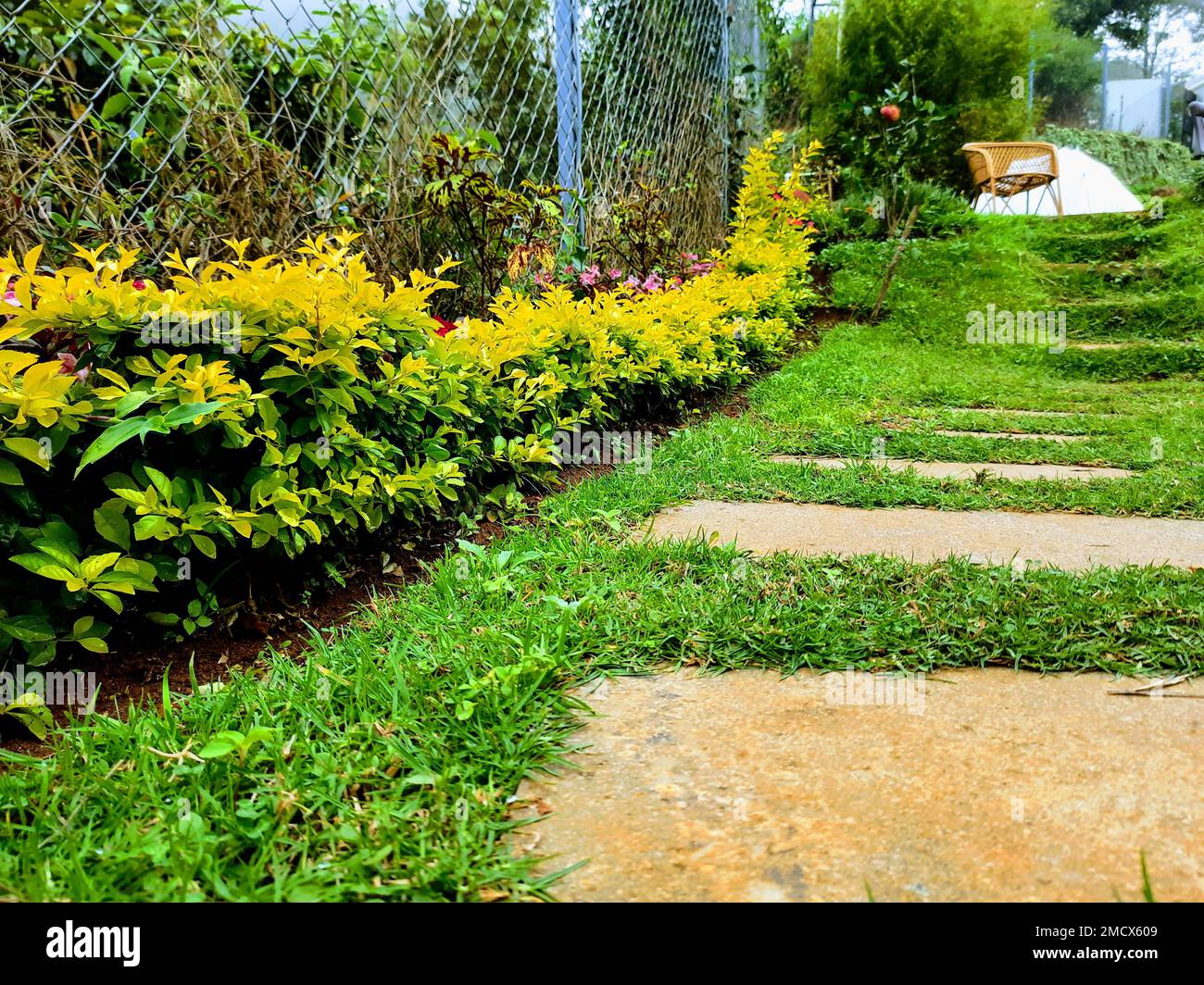 Well kept garden path hi-res stock photography and images - Alamy