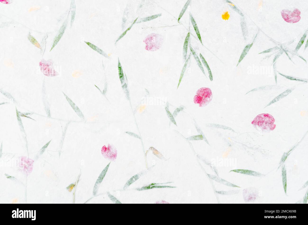 Mulberry paper sheet decorated with dry flower and leaf texture ...