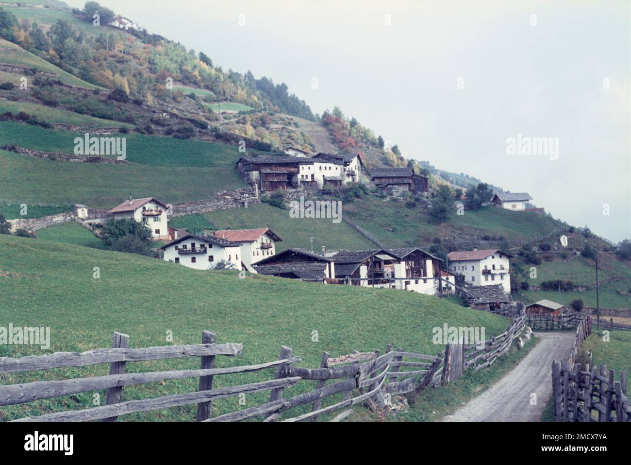 Sonneberg in the Martell Valley, Autonomous Province of Bolzano, South ...