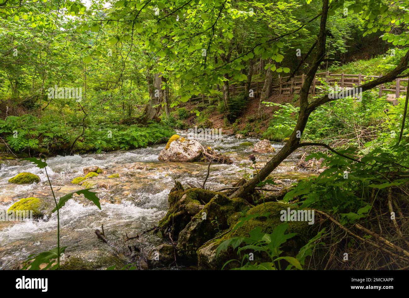 the ephemeral ponds of Tovel: small pearls with turquoise and indigo ...