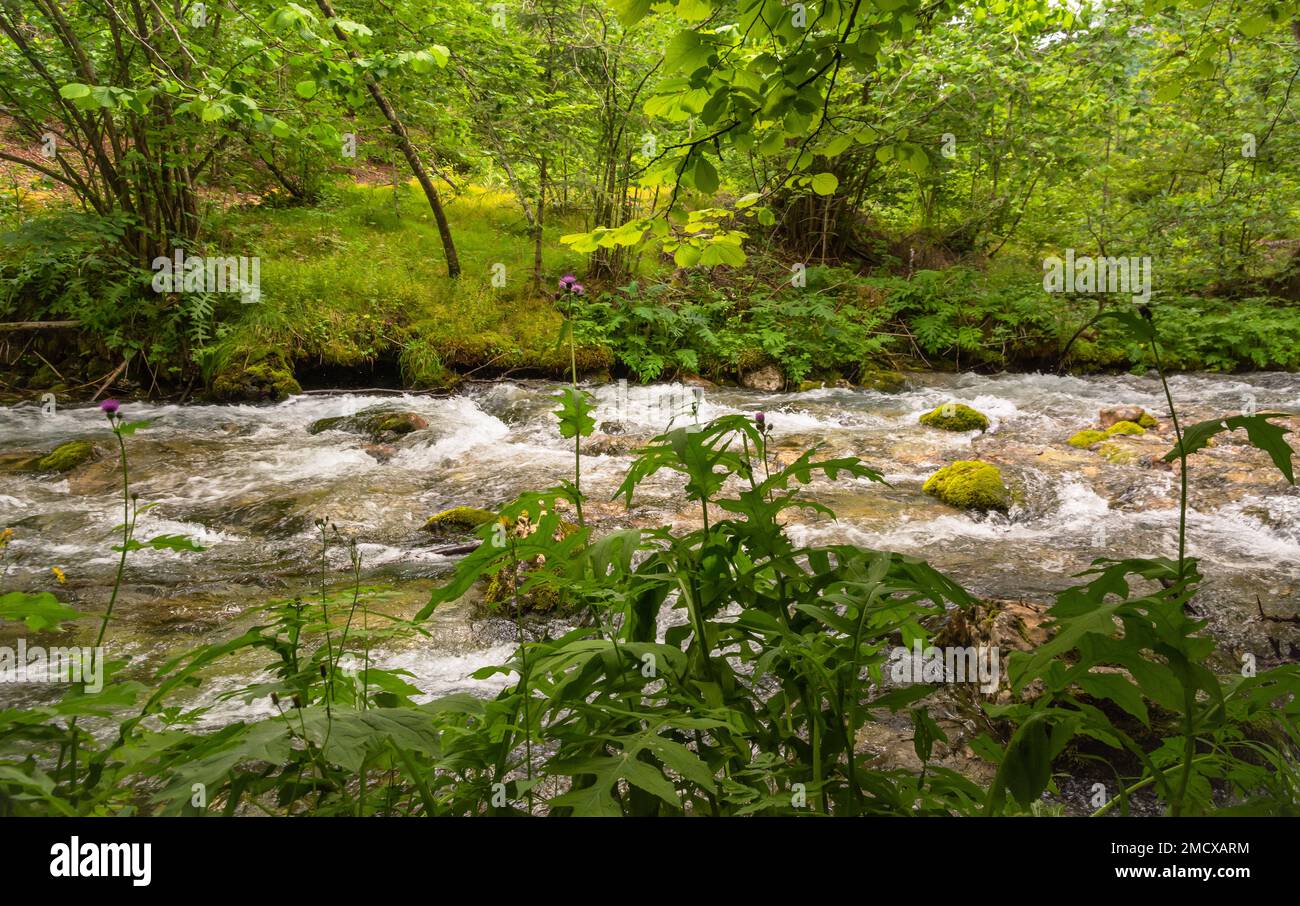 the ephemeral ponds of Tovel: small pearls with turquoise and indigo ...