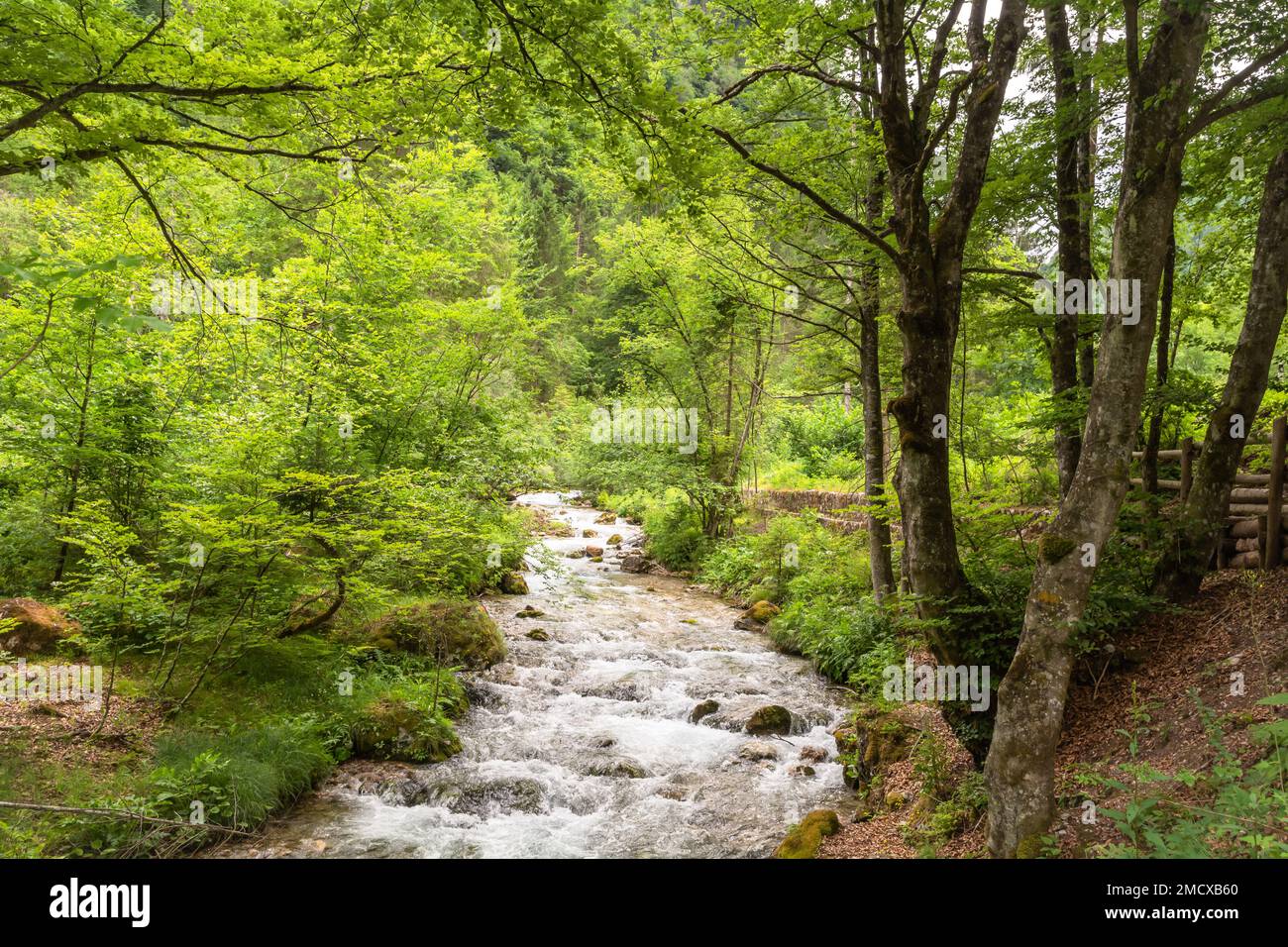 Pond of tovel hi-res stock photography and images - Alamy