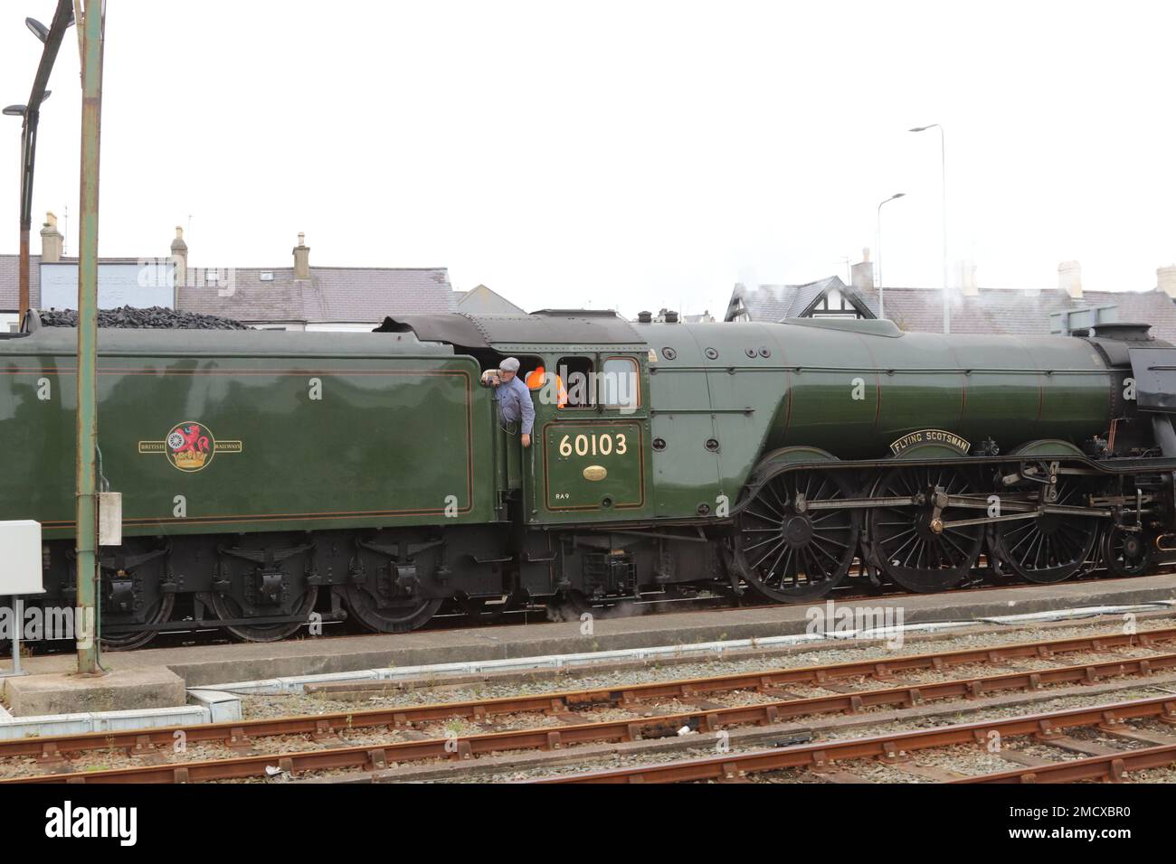 The Flying Scotsman on the North Wales coastal line Stock Photo - Alamy