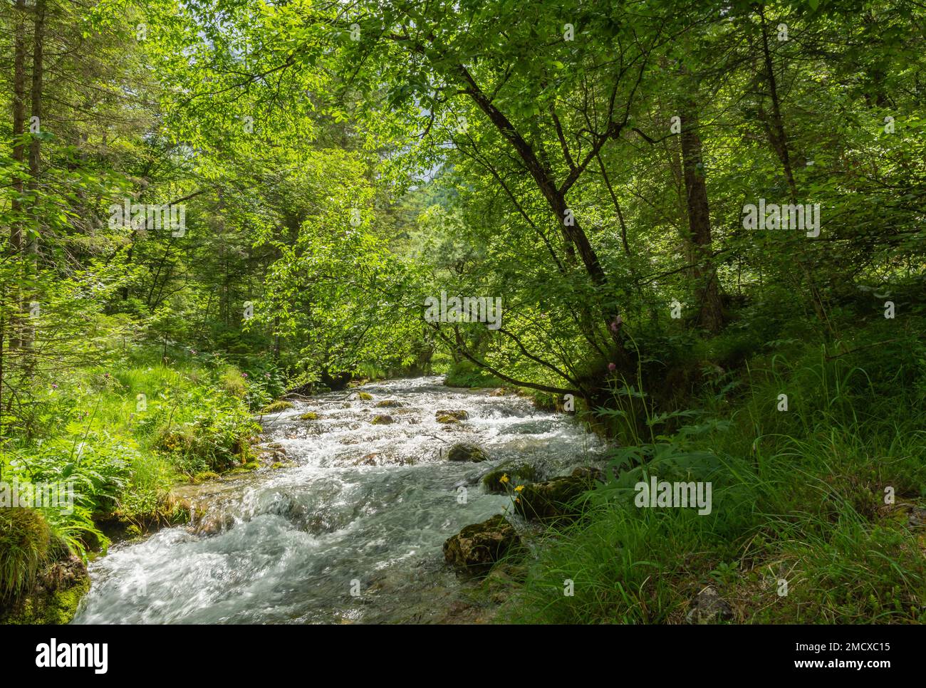 the ephemeral ponds of Tovel: small pearls with turquoise and indigo ...