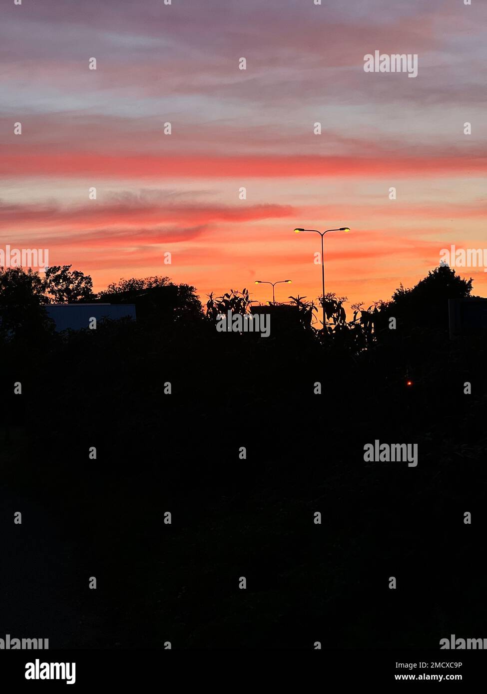 A vertical breathtaking view of red colorful sunset sky over tree ...