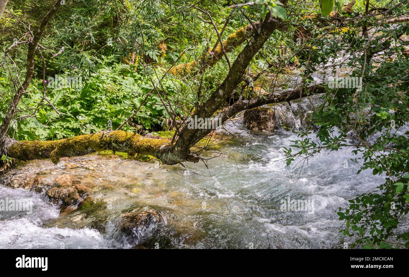 Ephemeral ponds of val di tovel hi-res stock photography and images - Alamy