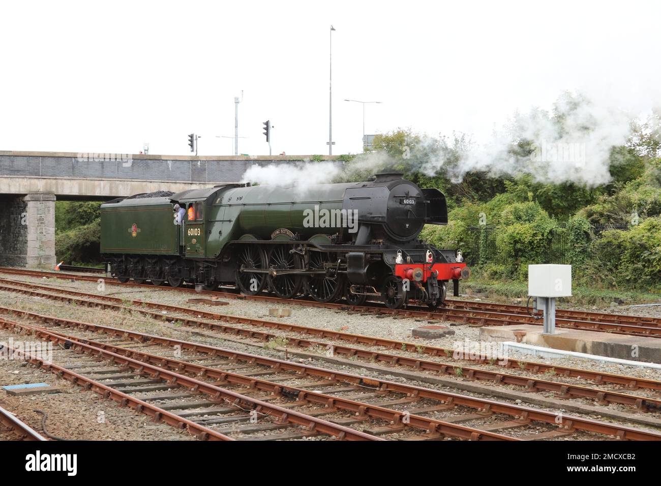 The Flying Scotsman on the North Wales coastal line Stock Photo - Alamy