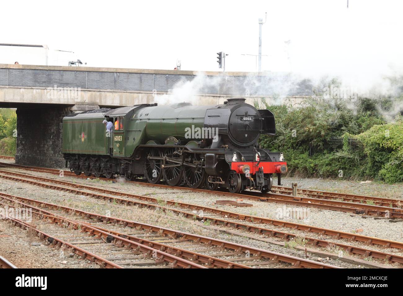 The Flying Scotsman on the North Wales coastal line Stock Photo - Alamy