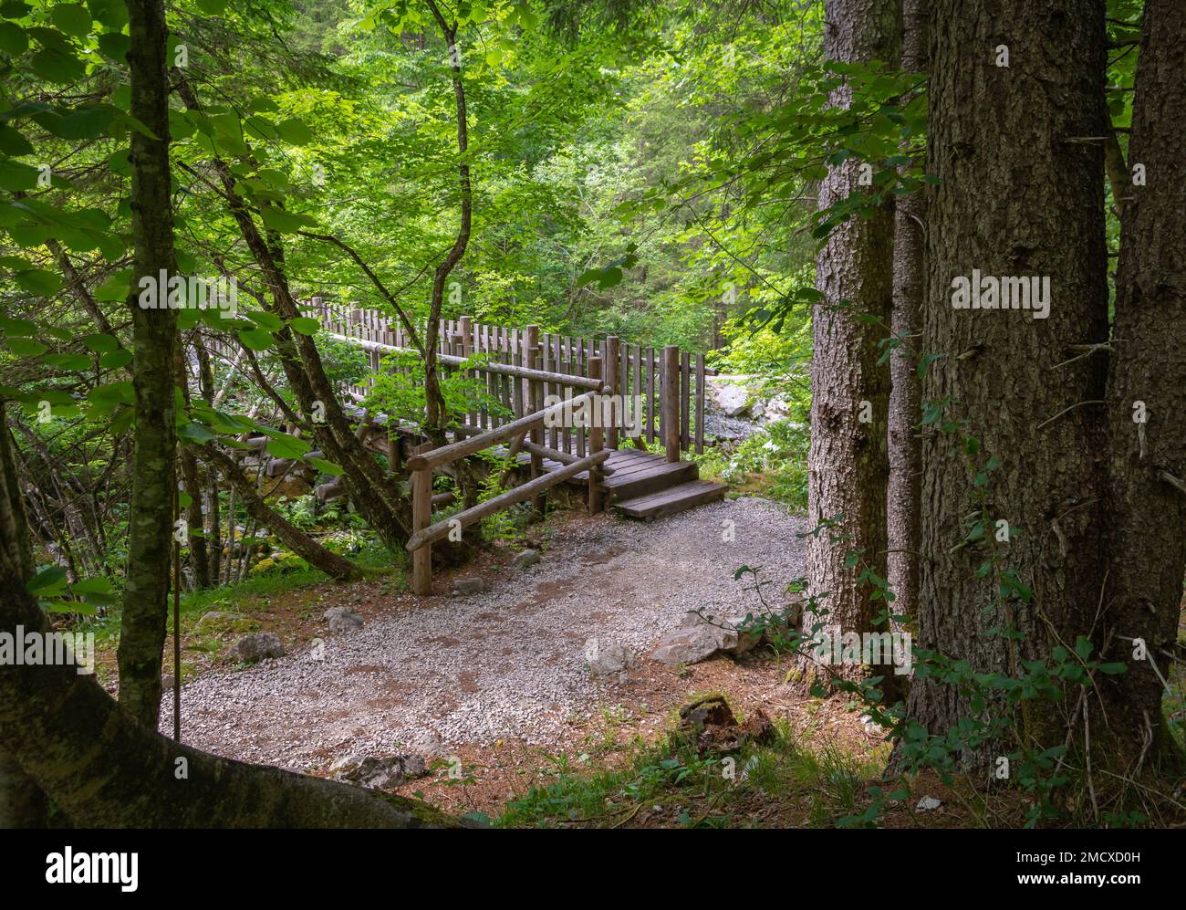 the ephemeral ponds of Tovel: small pearls with turquoise and indigo ...