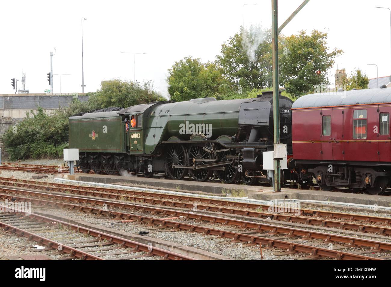 The Flying Scotsman on the North Wales coastal line Stock Photo - Alamy
