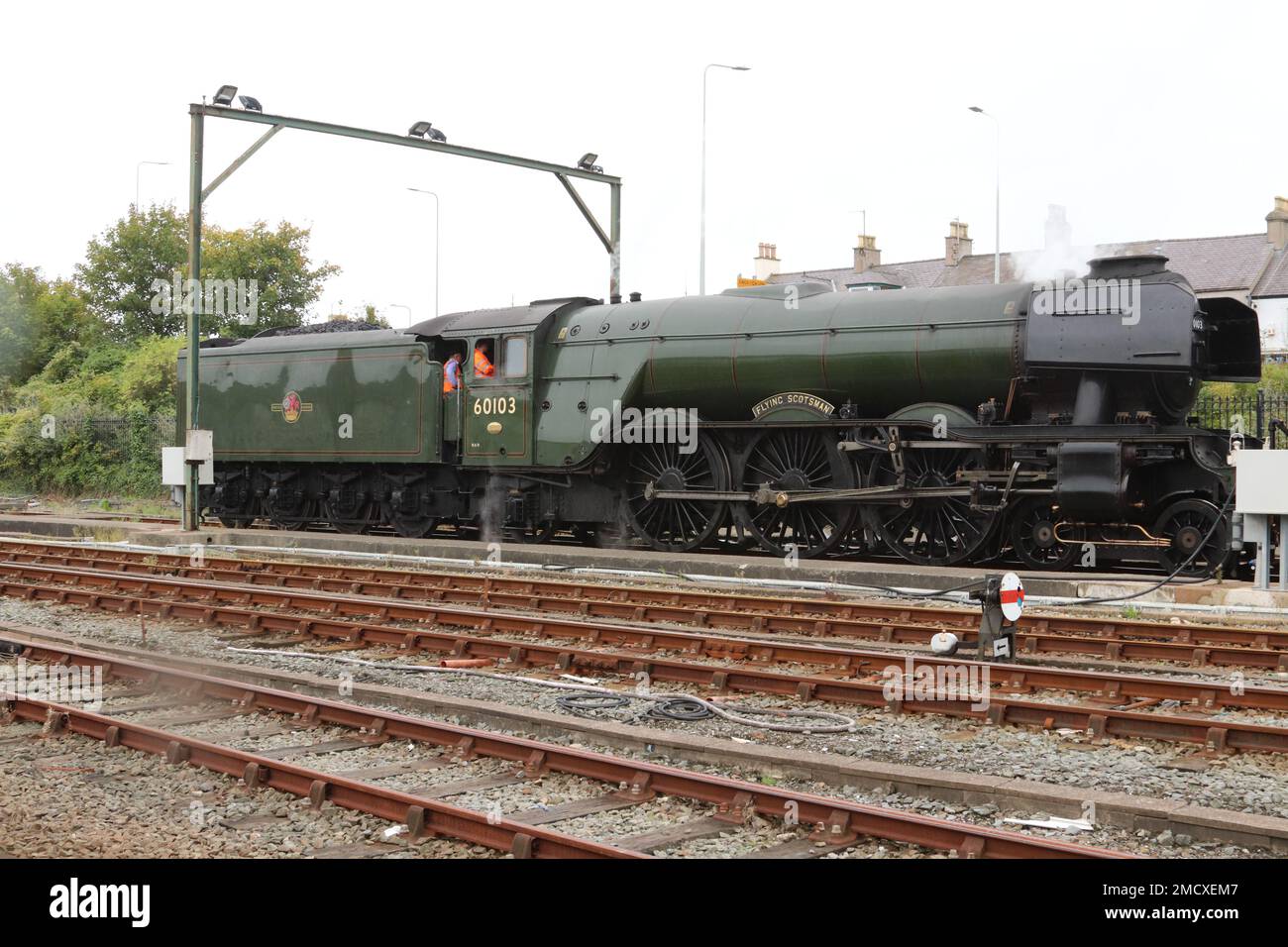 The Flying Scotsman on the North Wales coastal line Stock Photo - Alamy