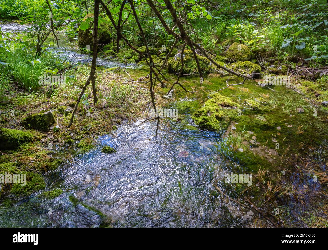 the ephemeral ponds of Tovel: small pearls with turquoise and indigo ...