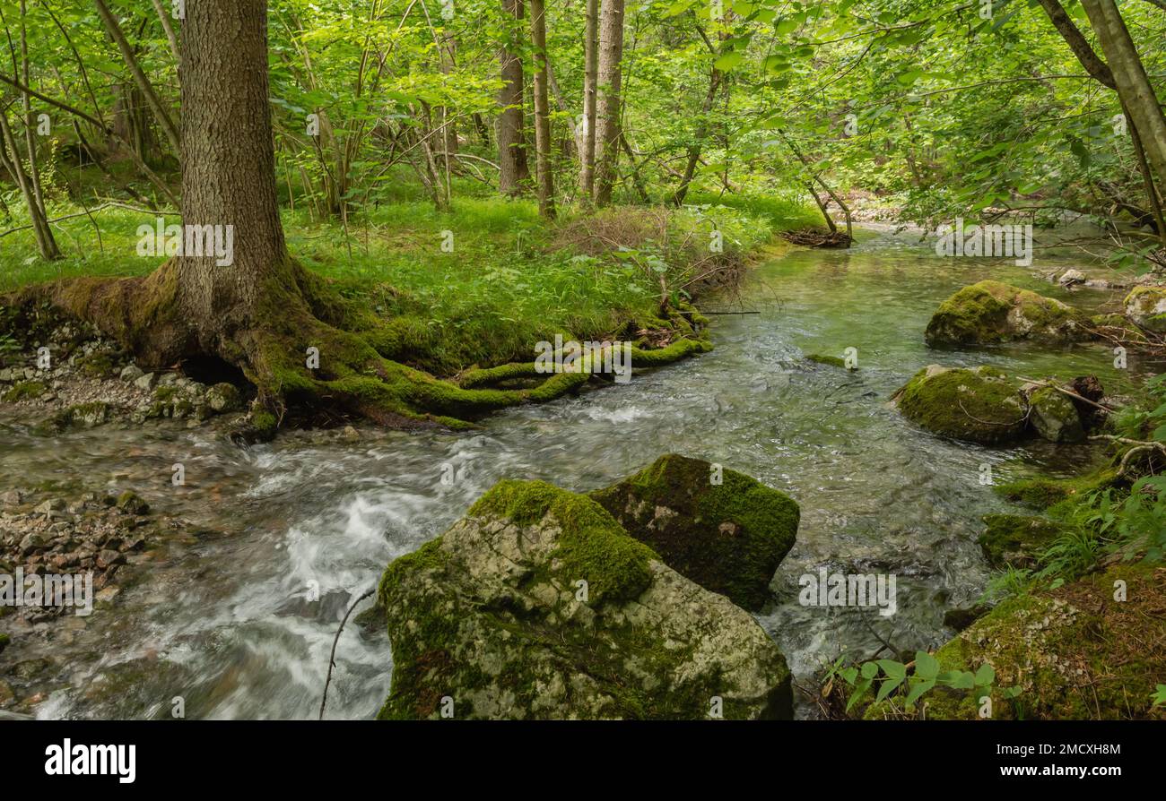 Ephemeral ponds of tovel hi-res stock photography and images - Alamy