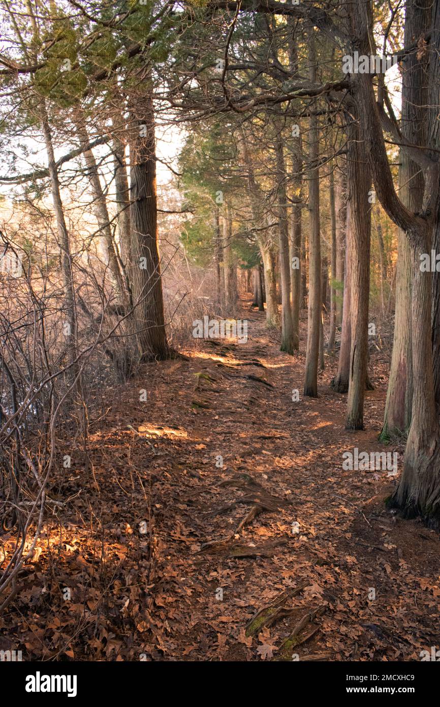 Nature Trail in Borderland State Park Stock Photo - Alamy