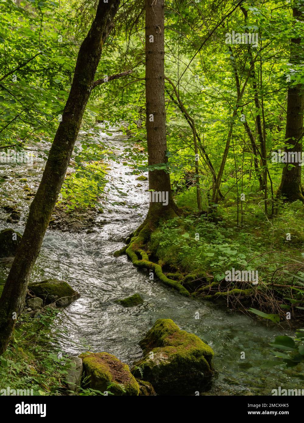 Ephemeral ponds of tovel hi-res stock photography and images - Alamy
