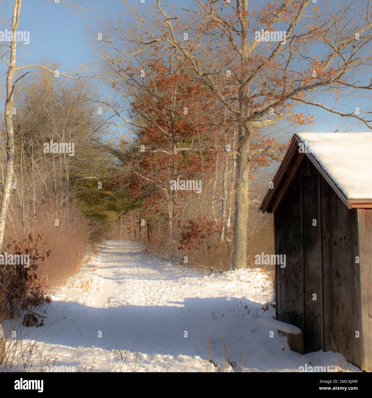 Burrage Pond in Hanson, Massachusetts Stock Photo - Alamy