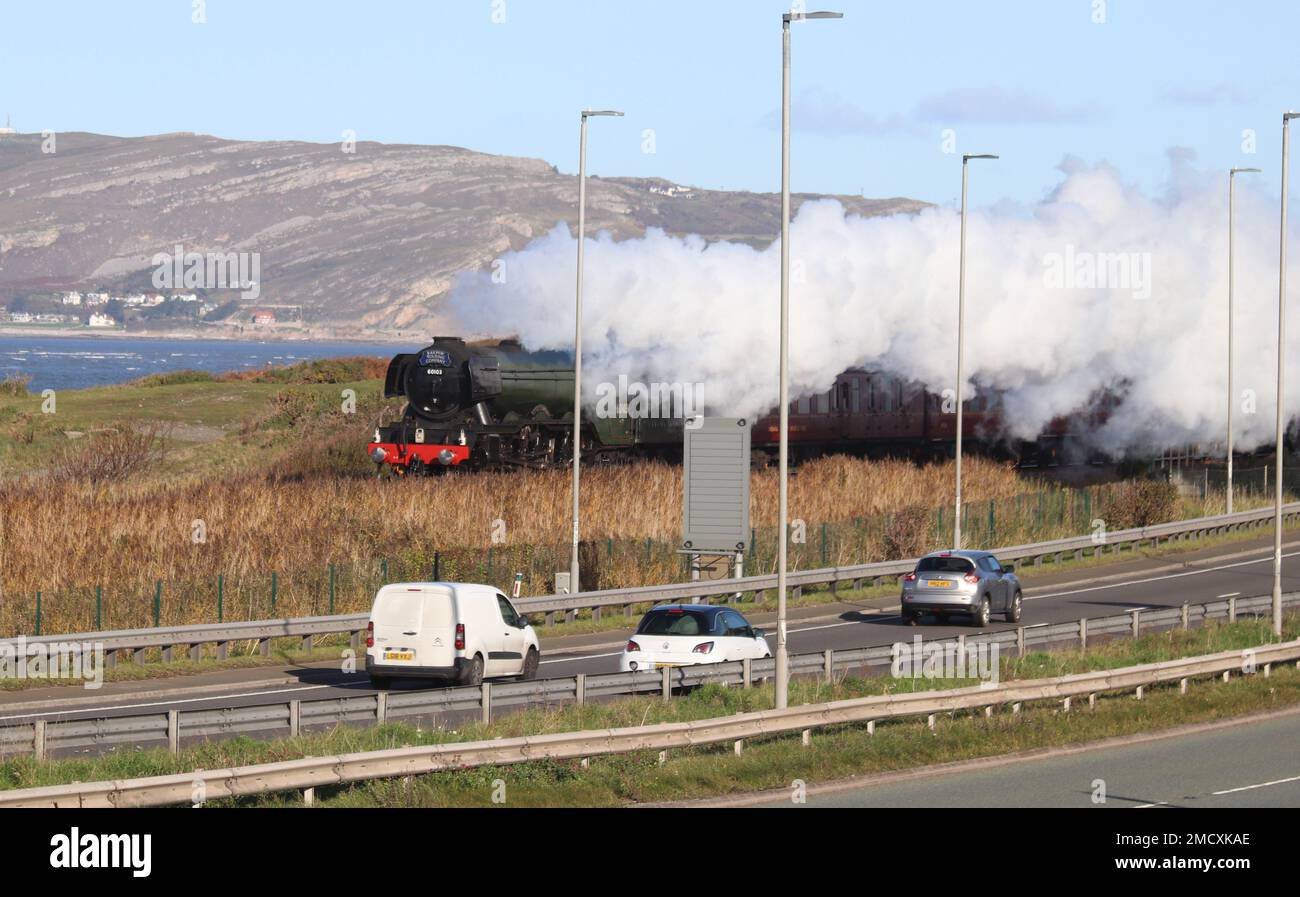 The Flying Scotsman on the North Wales coastal line Stock Photo - Alamy