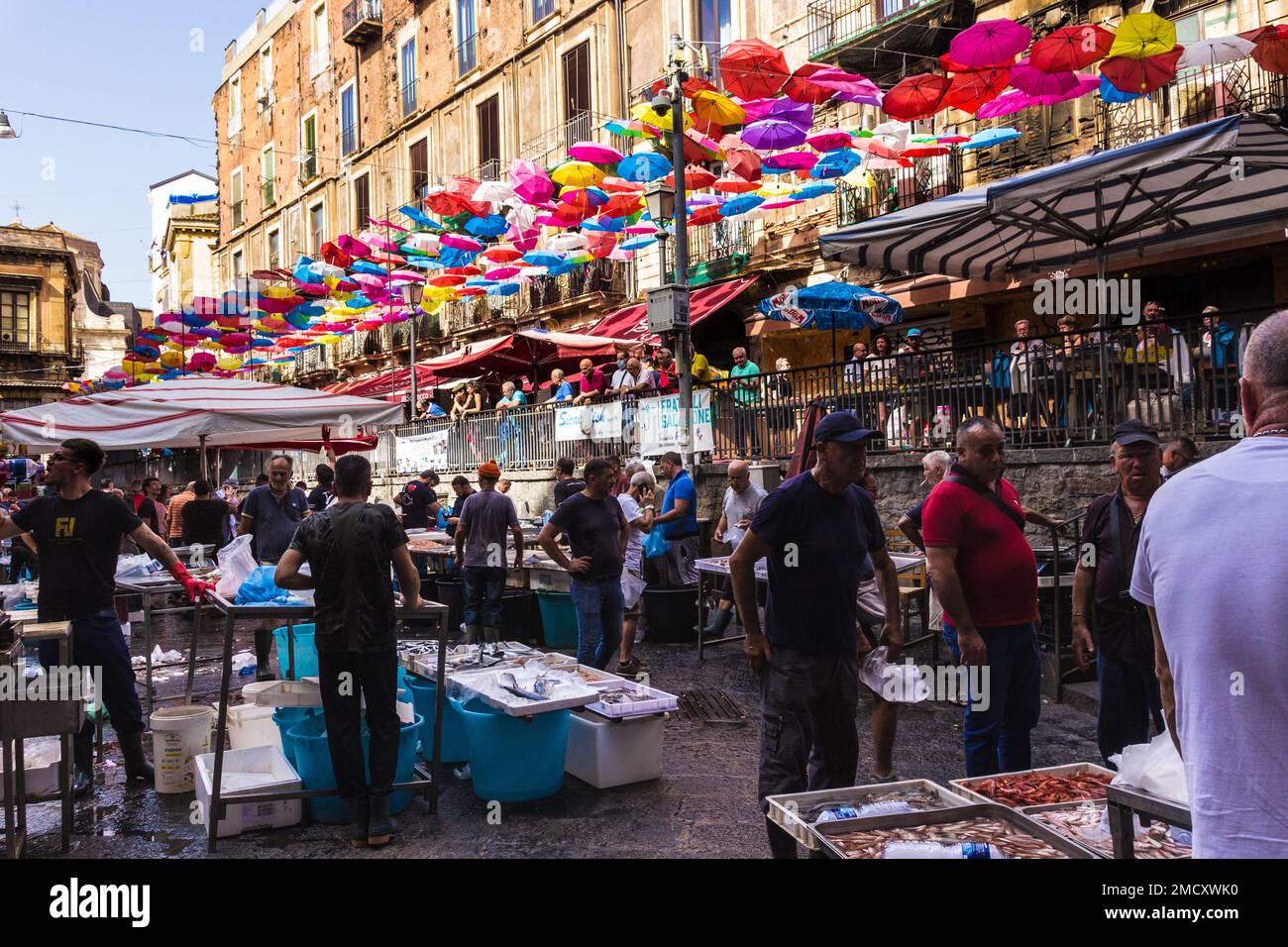 Catania fish market in Sicily Stock Photo - Alamy