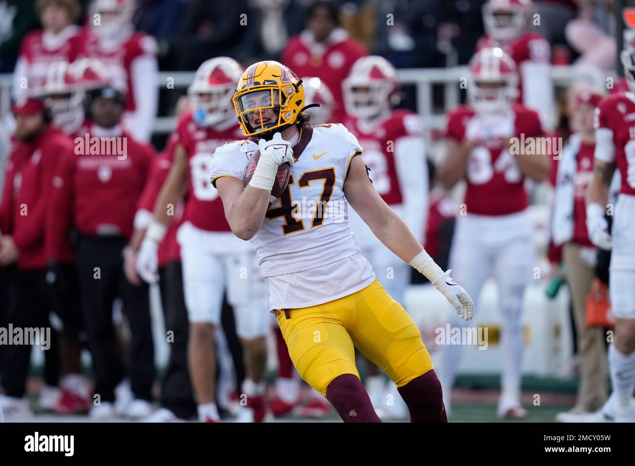 Minnesota tight end Wyatt Schroeder (47) in action during an NCAA ...