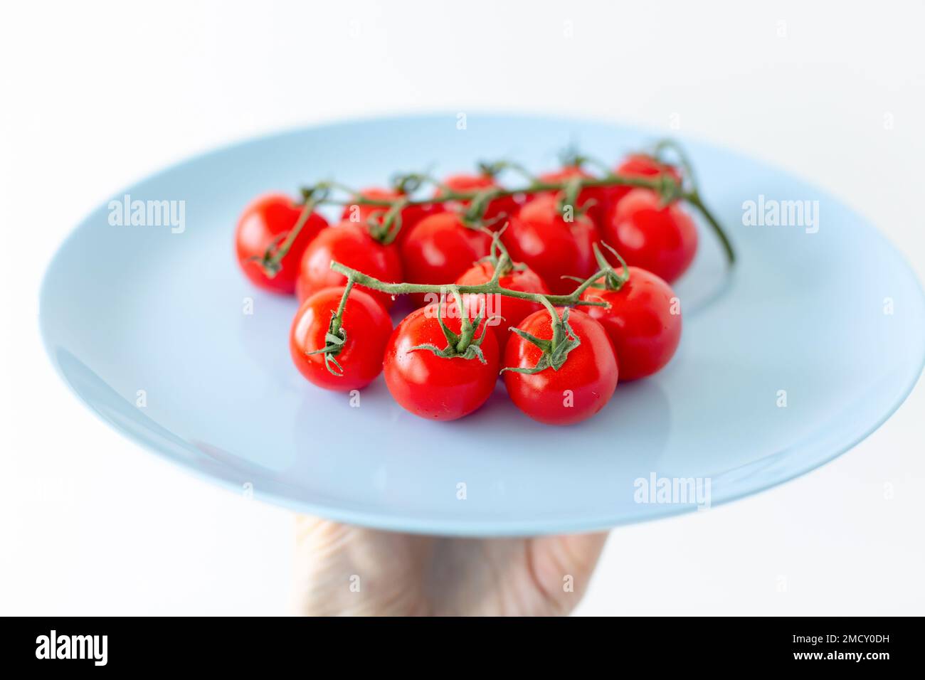 Branches of fresh bright red cherry cocktail tomatoes lie on a blue ...