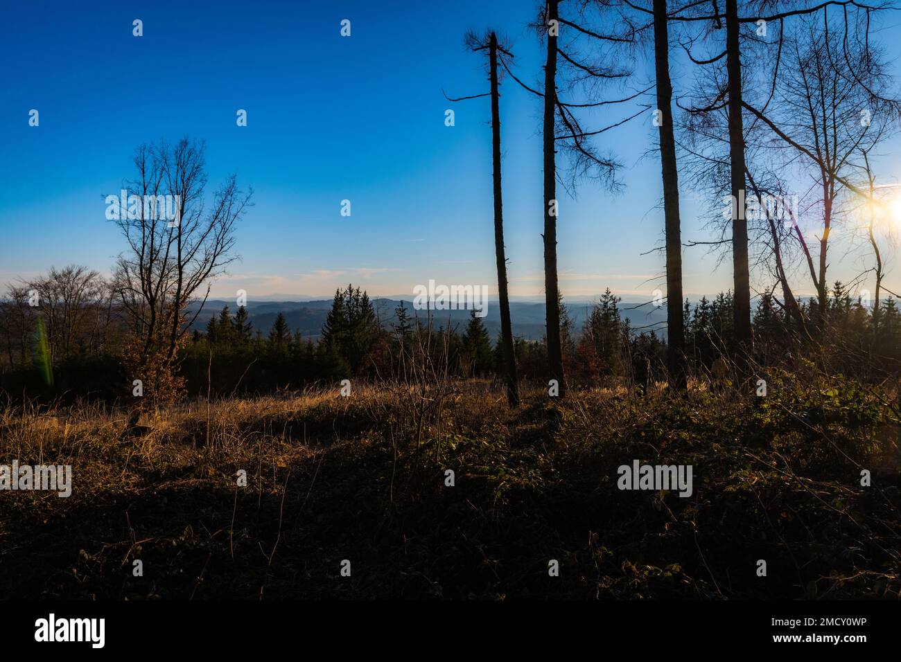 A scenic view of dry landscape with trees under a blue sky Stock Photo ...