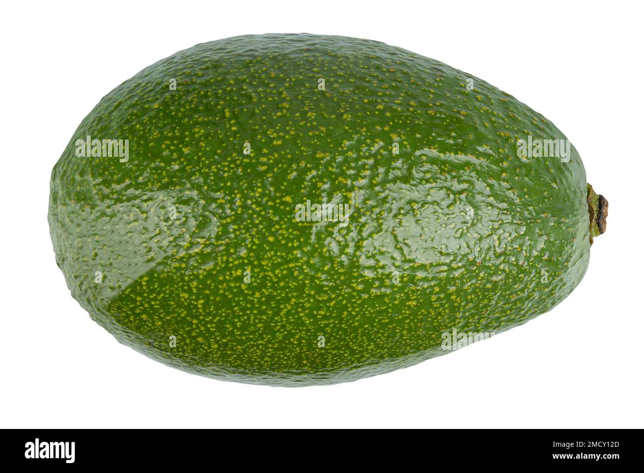 Avocado whole isolated on white. Fresh vegetables. File contains ...