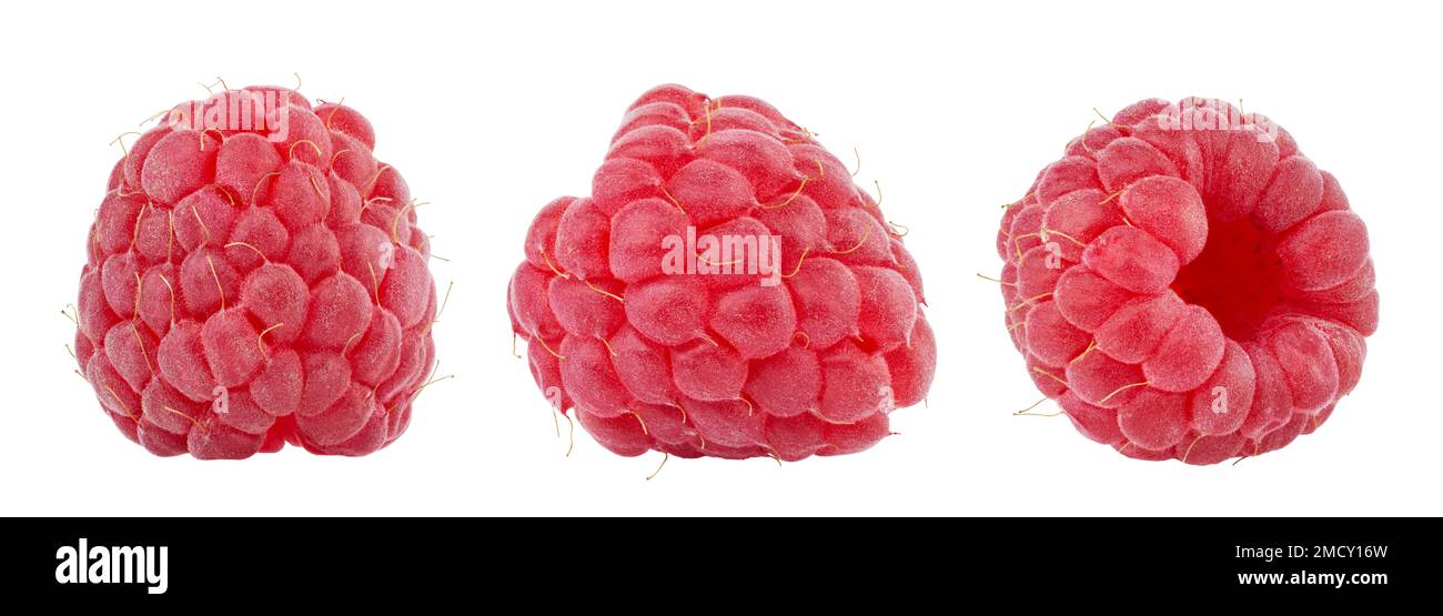Raspberry collection isolated on white background. File contains ...