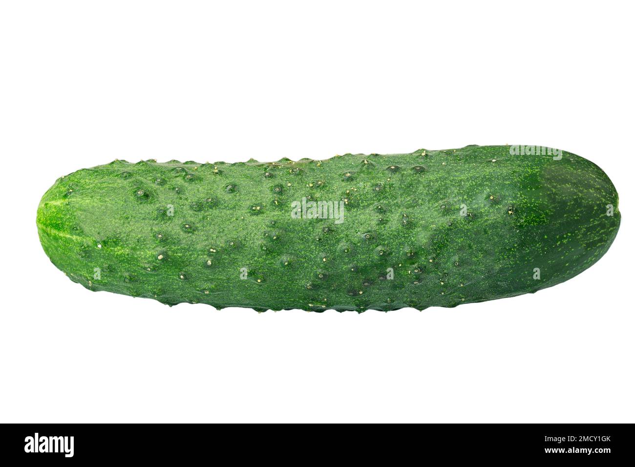 Homemade cucumber. Fresh organic cucumber isolated on white background ...