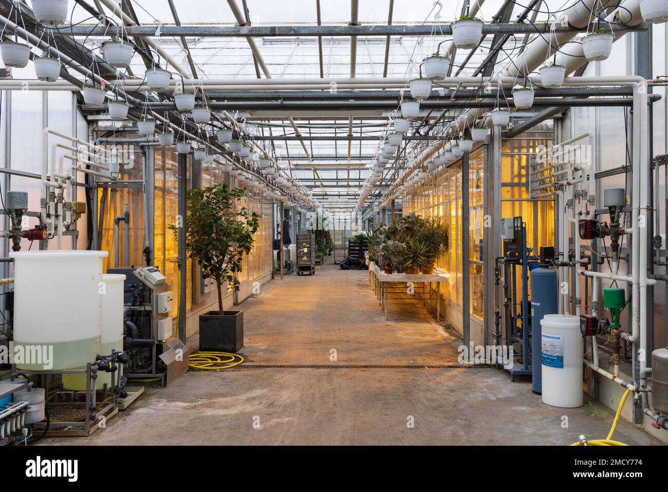 Aarhus, Denmark - November 16, 2022: Green house overview with plants ...