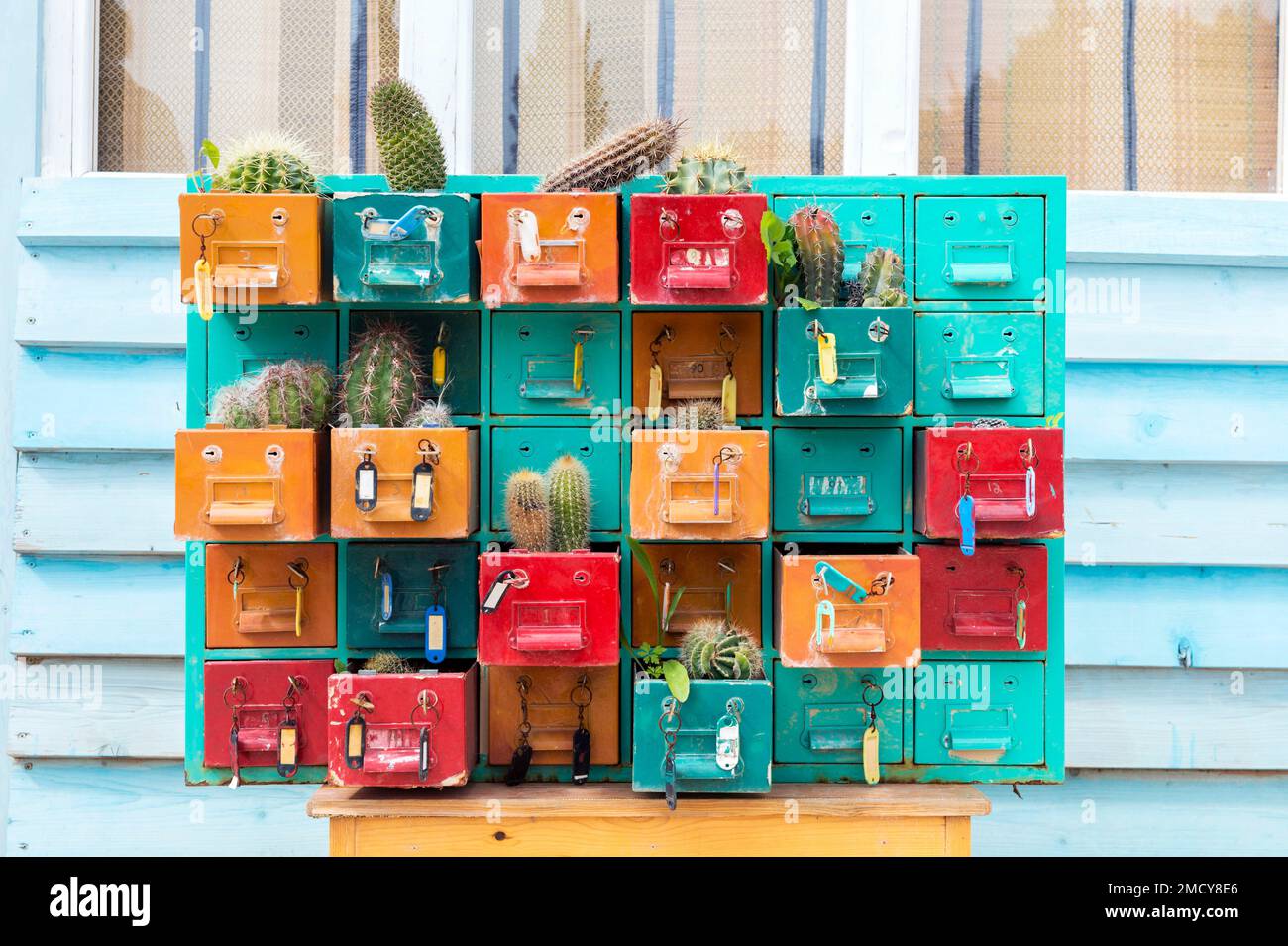 Kaktusarchiv hi-res stock photography and images - Alamy