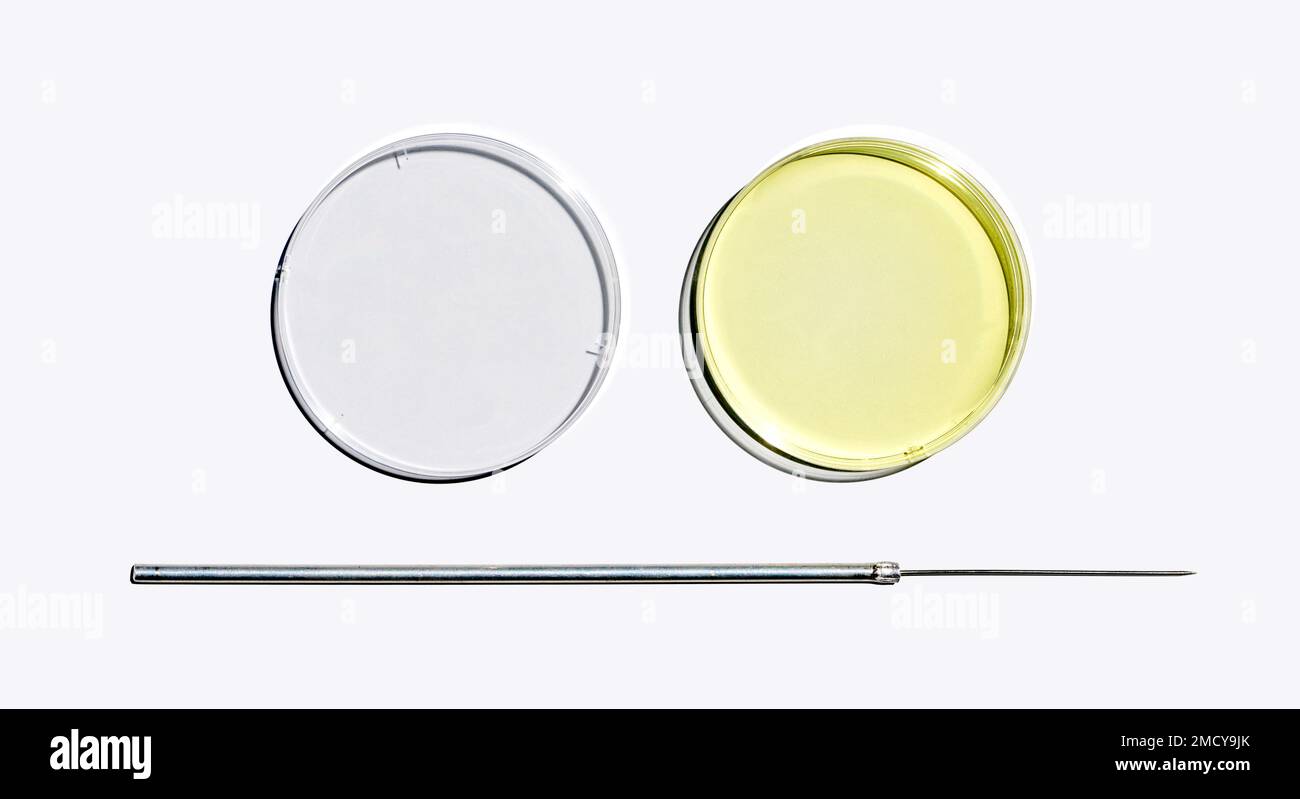 Poly Aluminium chloride liquid in Petri dish with plastic lid place ...