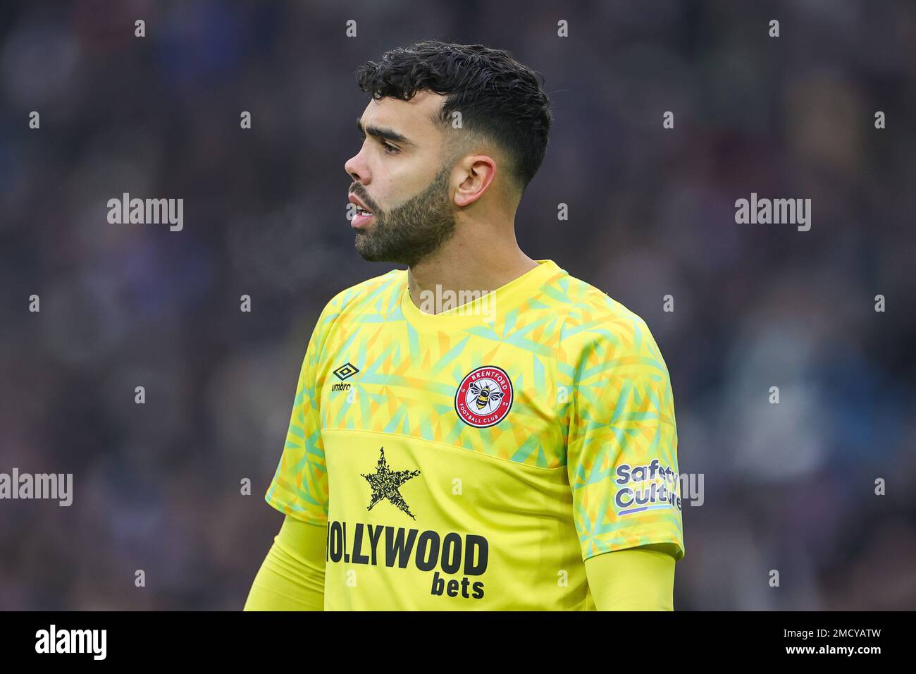 David Raya #1 of Brentford during the Premier League match Leeds United ...