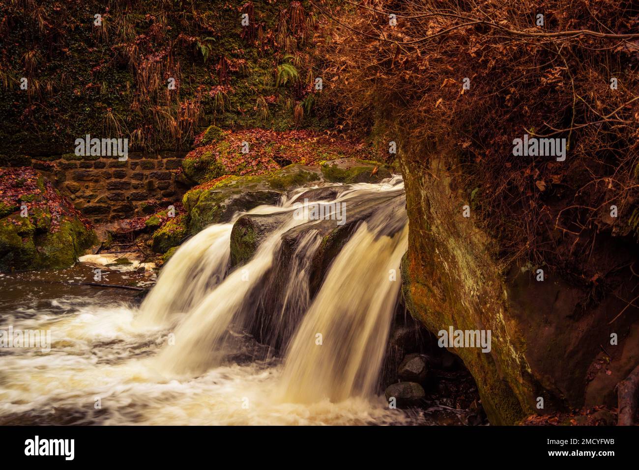 Waterfall mullerthal luxembourg hi-res stock photography and images - Alamy