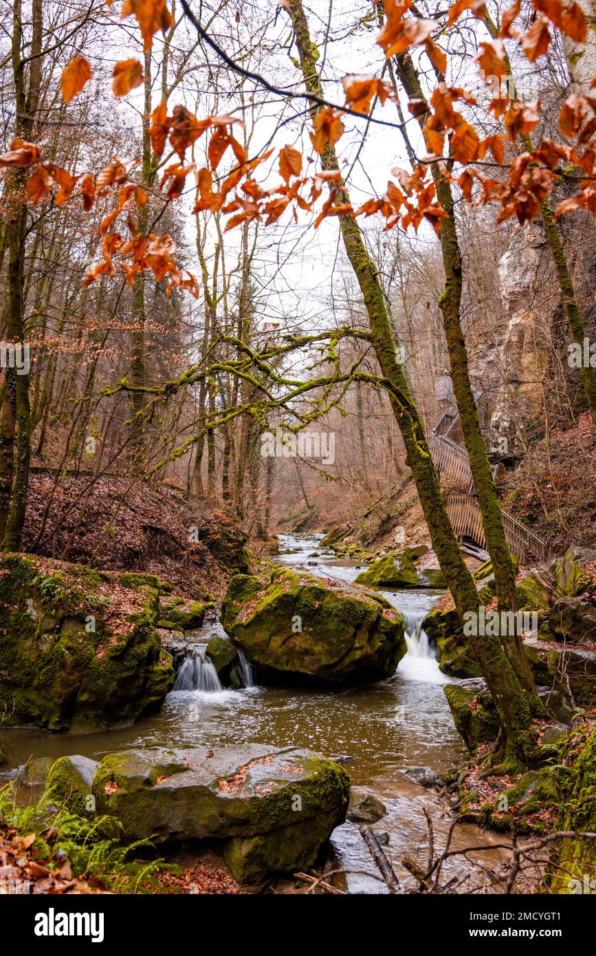 River Sure along Schiessentumpel in autumn colors in Mullerthal near ...