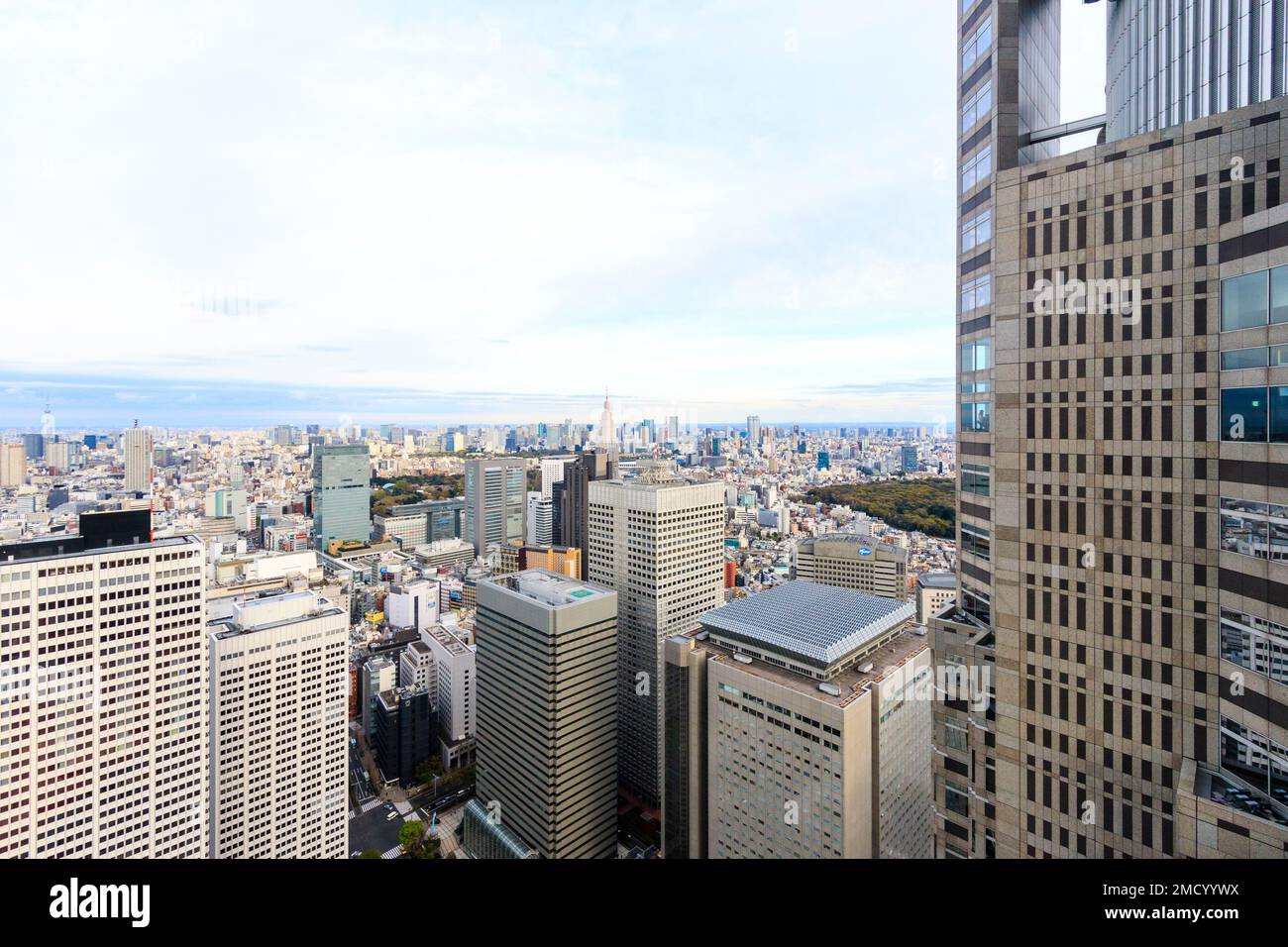 View from Tokyo Metropolitan Building North Tower observation deck of ...