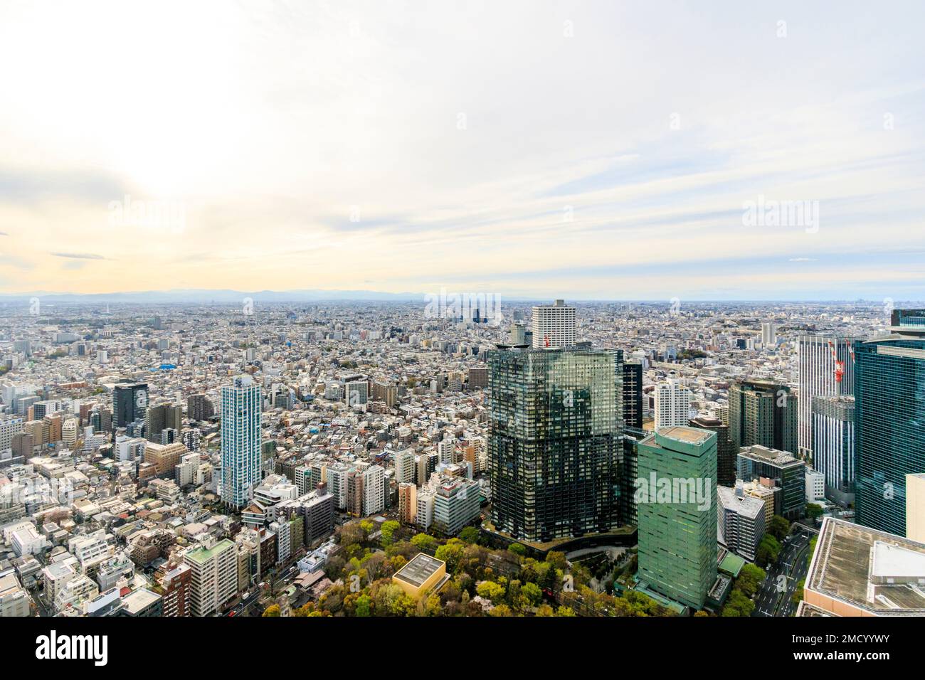 Tokyo, View from the Tokyo Metropolitan Building North Tower observation deck of the urban ...