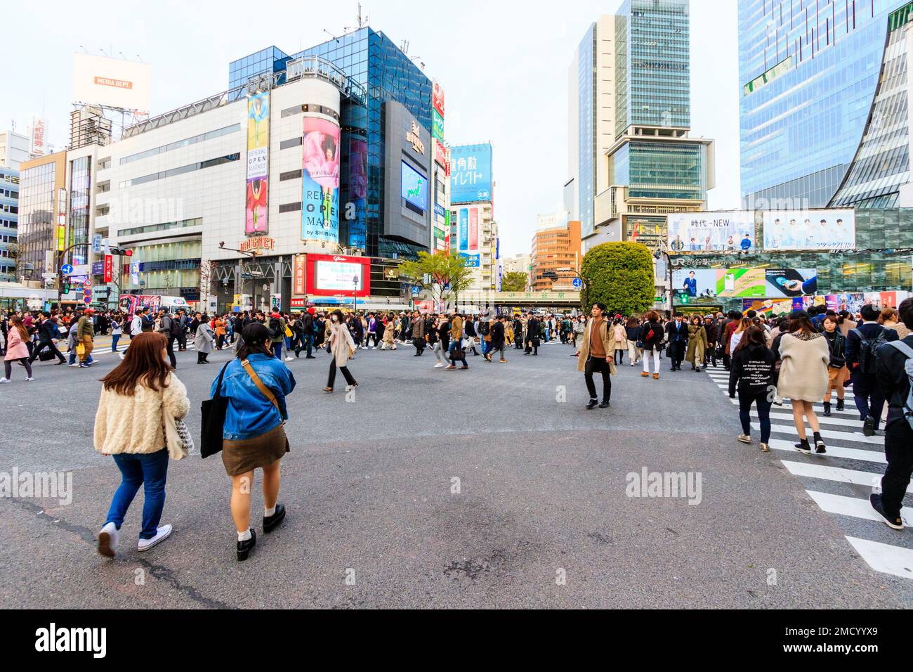 Tokyo, Shibuya famous landmark scramble crossing. Crowds of people ...