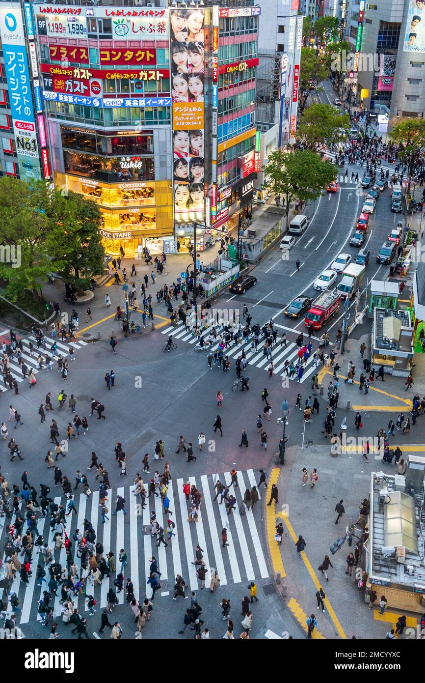 Tokyo. Aerial view of the Shibuya famous landmark, the scramble crossing surrounding by high ...